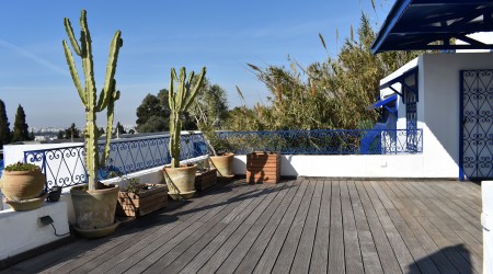 Dar Kamar avec sublime terrasse in Sidi Bou Saïd